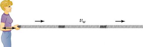 13.1 Types of Waves | Texas Gateway