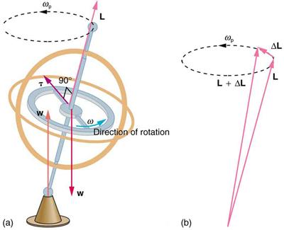 10.7 Gyroscopic Effects: Vector Aspects of Angular Momentum | Texas Gateway