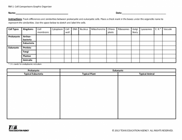Cell Comparisons | TEKS Guide